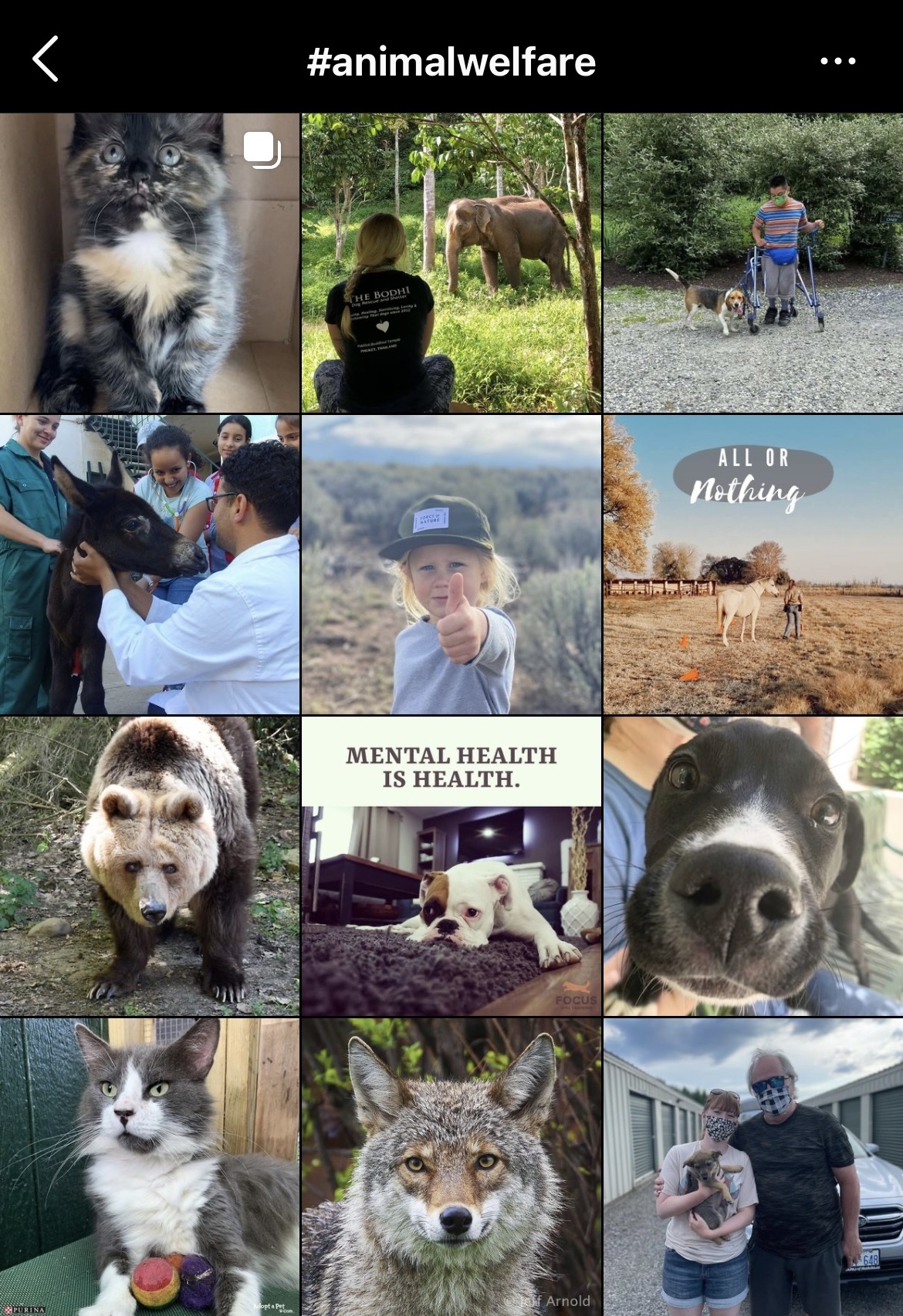 5 Community Management Tips to Grow Instagram Followers